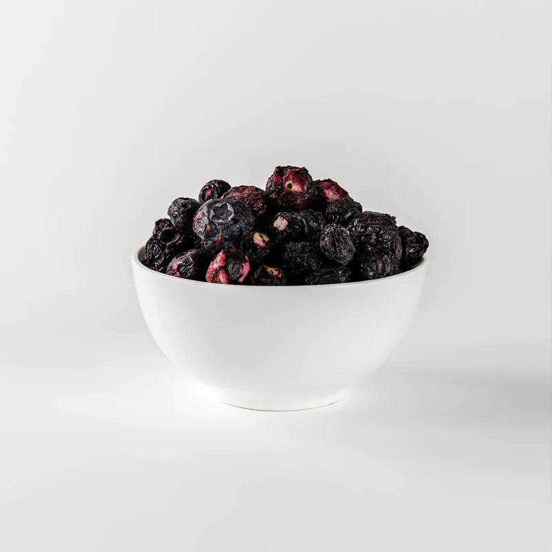 Forager Fruits Freeze Dried Blueberries 15g – Backpacking Light Australia